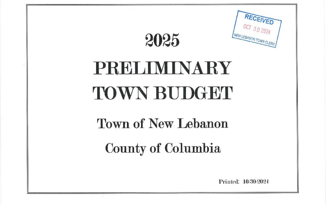 2025-Preliminary-Budget | Town of New Lebanon